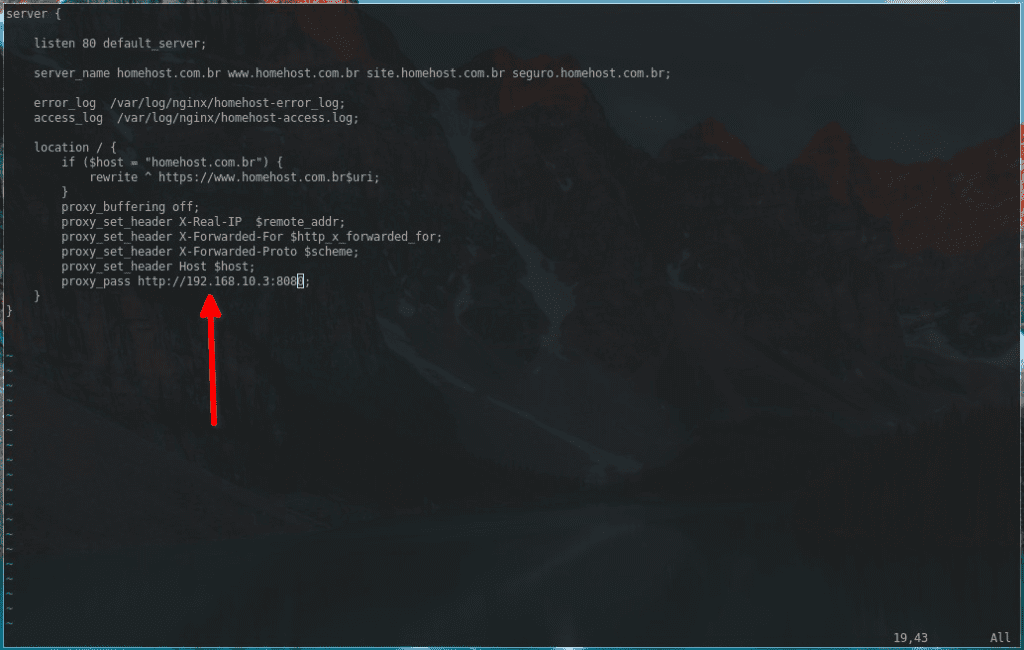 Erro 502 Bad Gateway: o que é e como resolver | Homehost